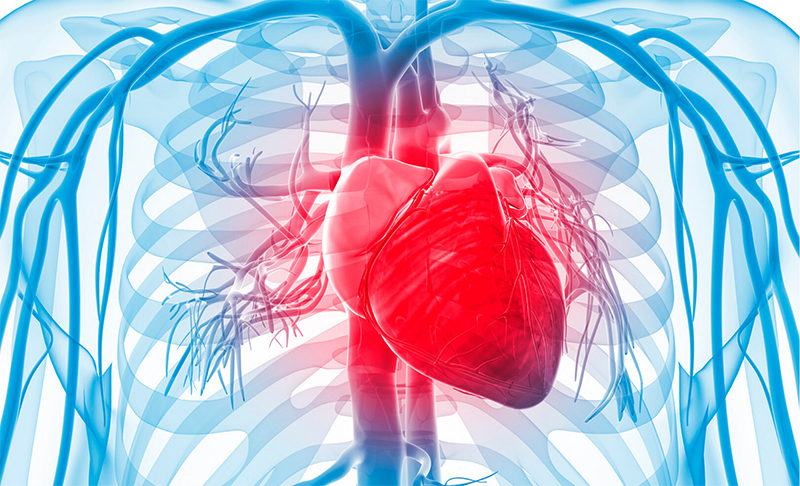 Cardiology Services - The Doctors Clinic